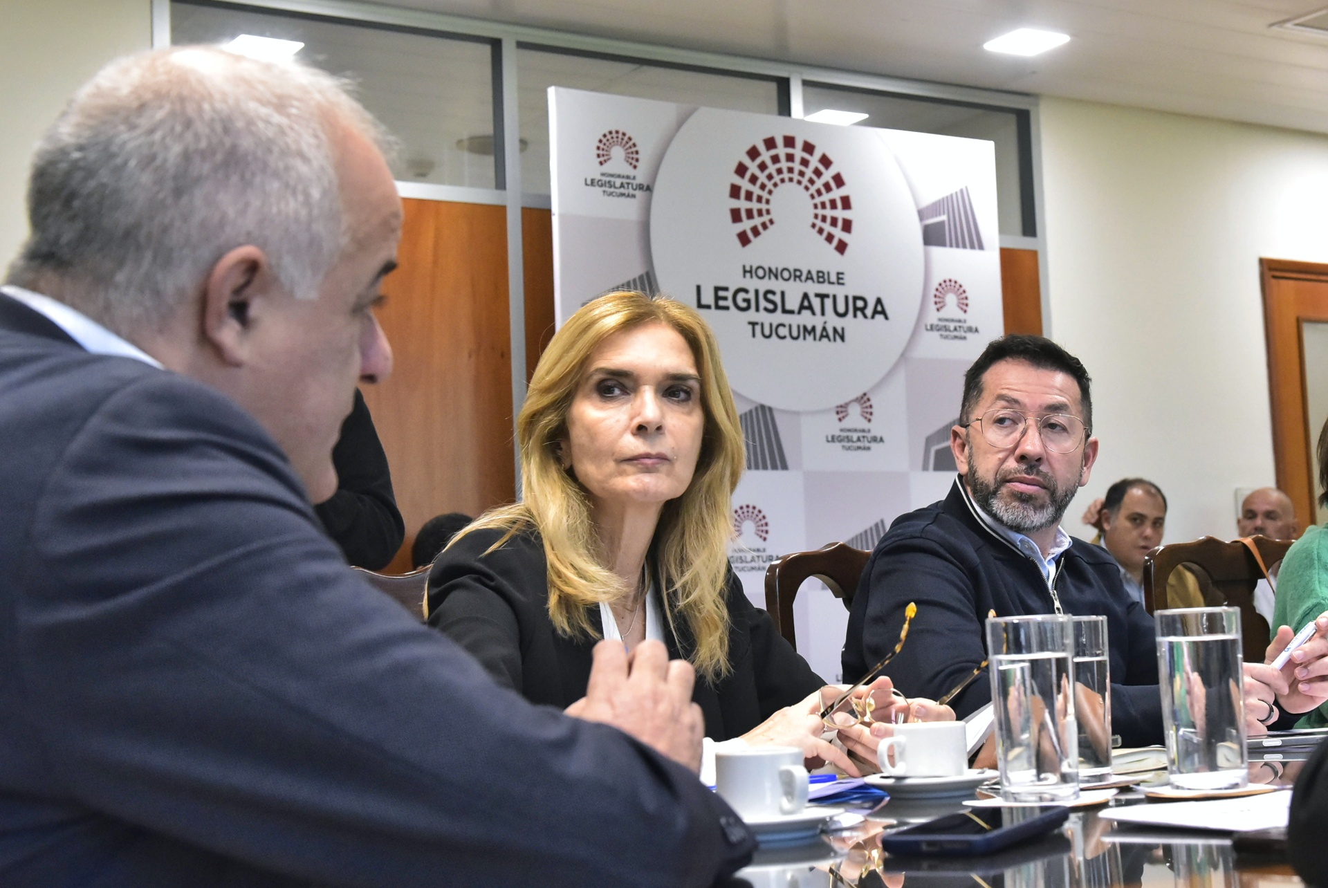 Honorable Legislatura de Tucumán